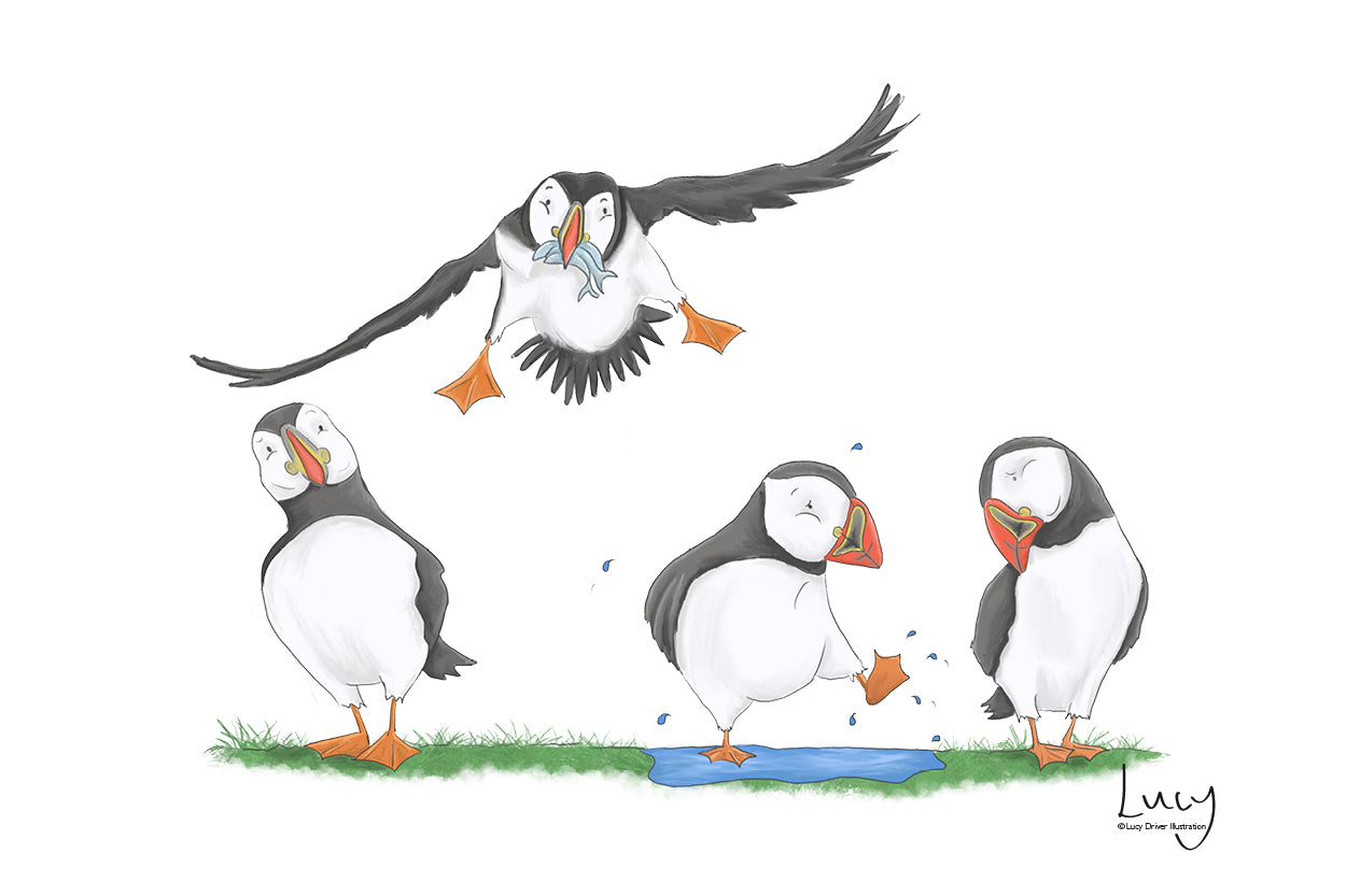 Puffins – Lucy Driver