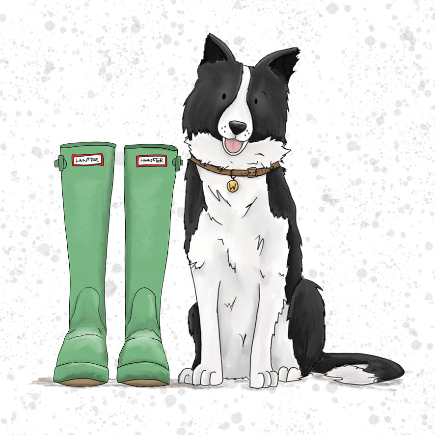 Border Collie – Lucy Driver