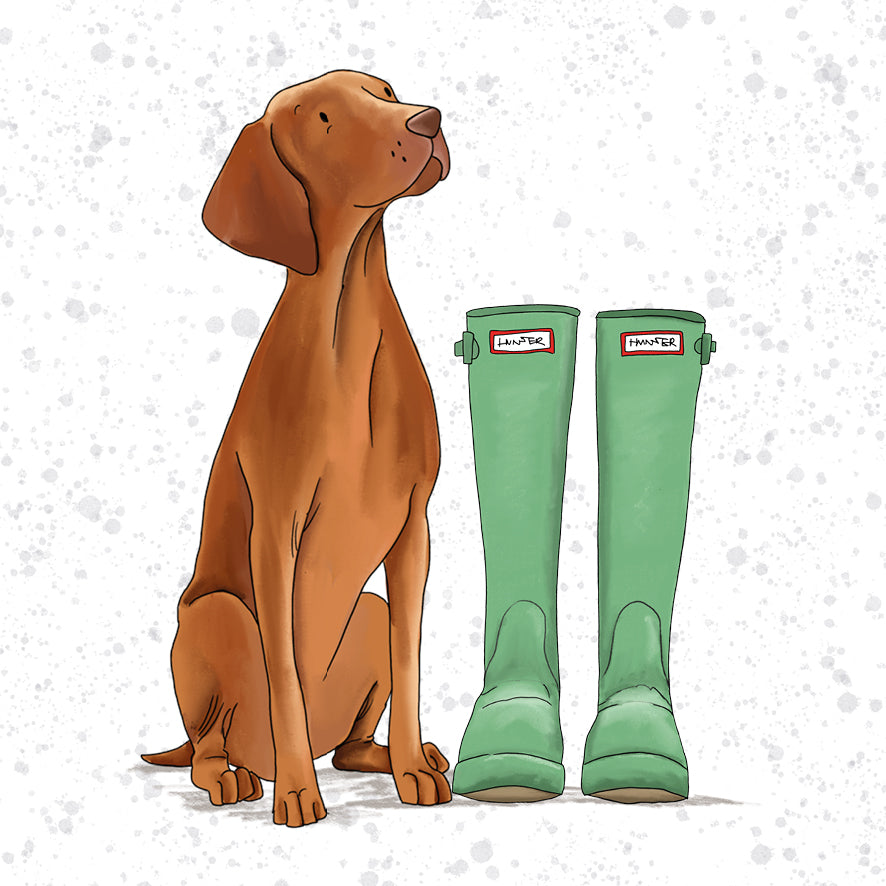 Vizsla – Lucy Driver
