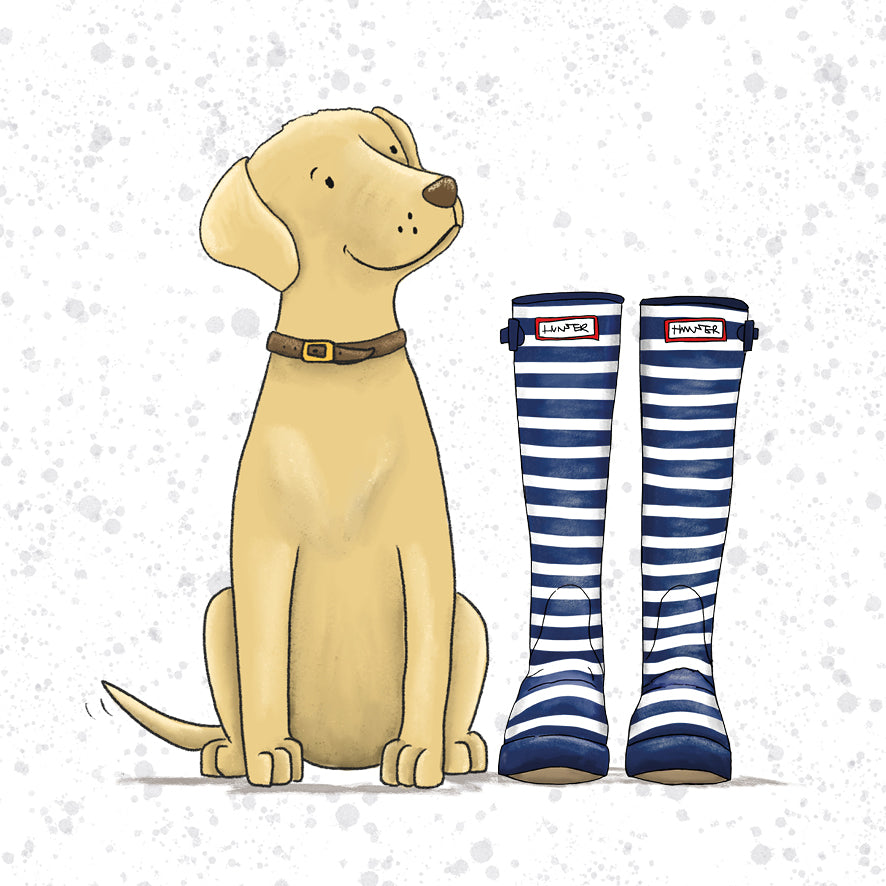 Golden Labrador – Lucy Driver