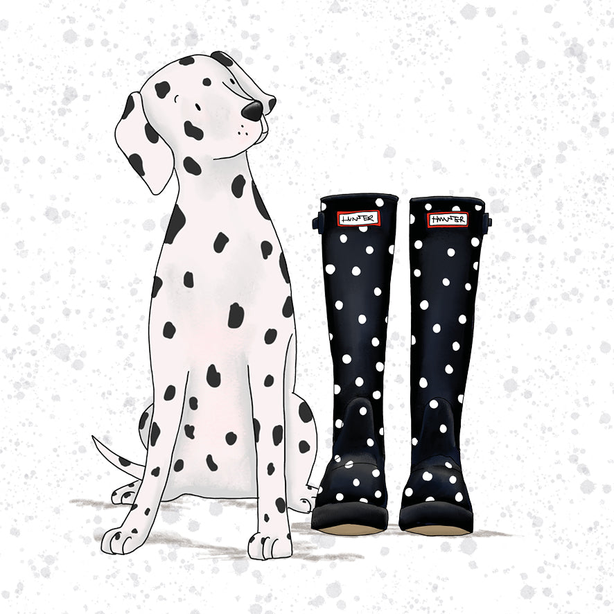 Dalmatian – Lucy Driver