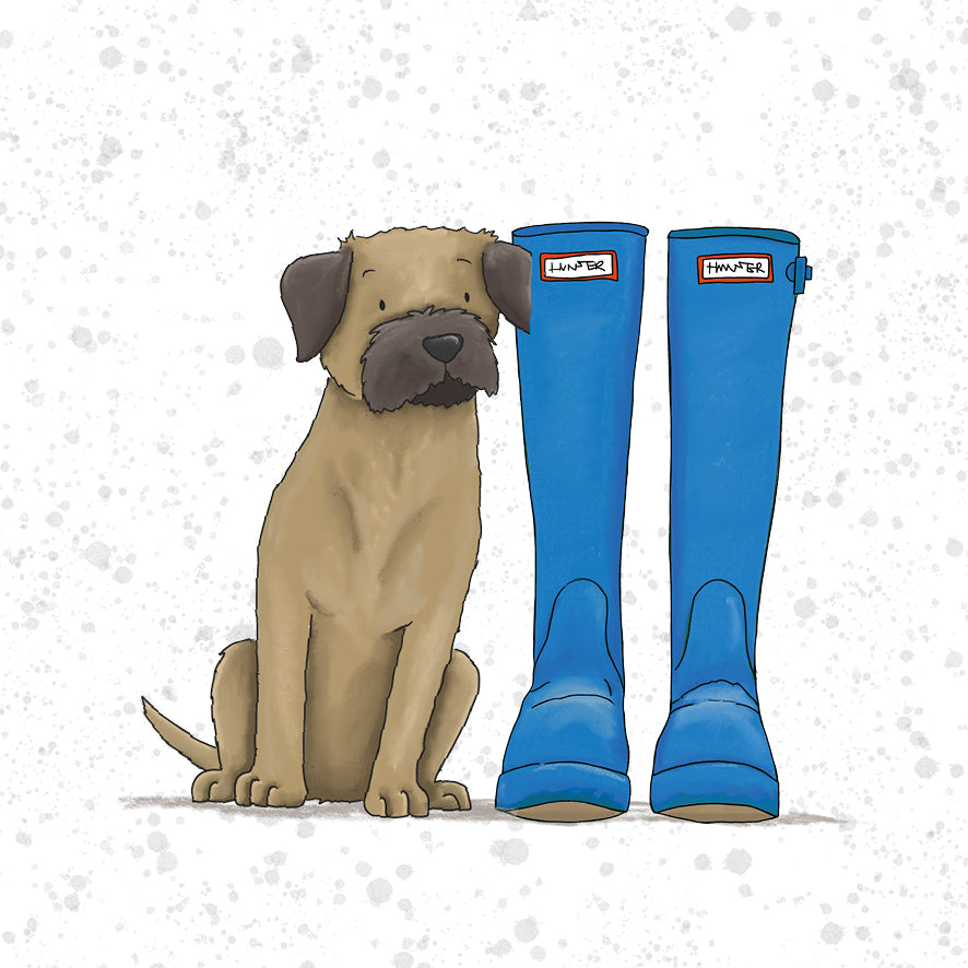 Border Terrier – Lucy Driver